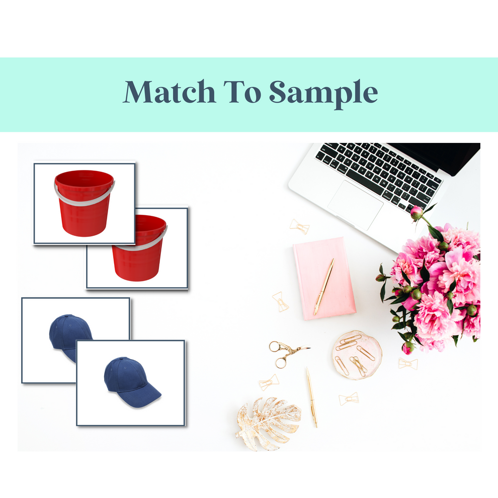 VB-Mapp Tacting Cards Bundle, ABA Therapy Materials, VB-Mapp Materials ...